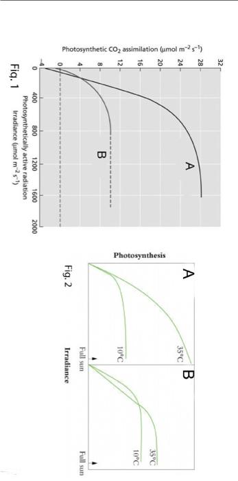 Solved - C3 and C4 plants have different photosynthetic | Chegg.com