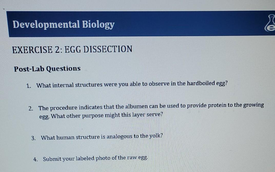 Solved Developmental Biology e EXERCISE 2: EGG DISSECTION | Chegg.com