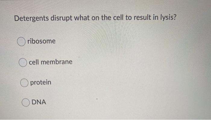 Solved Detergents disrupt what on the cell to result in | Chegg.com