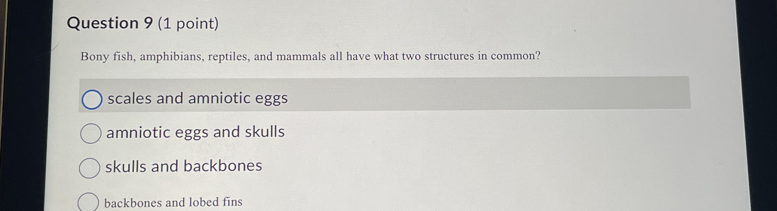 Solved Question 9 (1 ﻿point)Bony fish, amphibians, reptiles, | Chegg.com