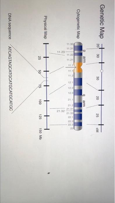 Solved BIO 340 Activity # 4: Three-point cross, gene order | Chegg.com