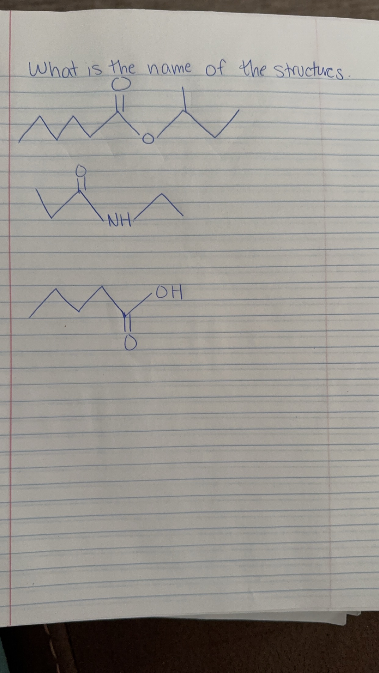 Solved What is the name of the structures. | Chegg.com