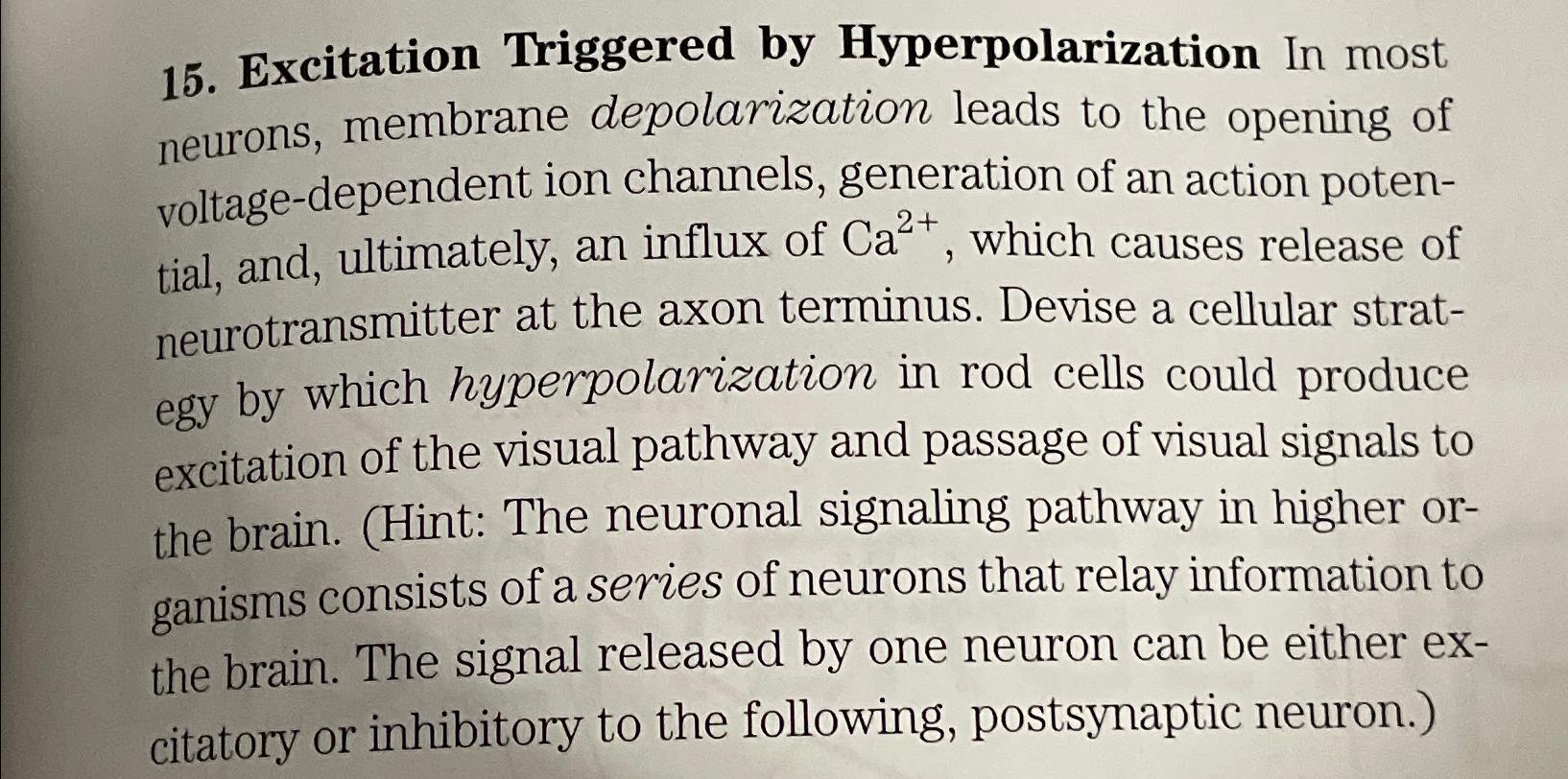 Solved Excitation Triggered by Hyperpolarization In most | Chegg.com