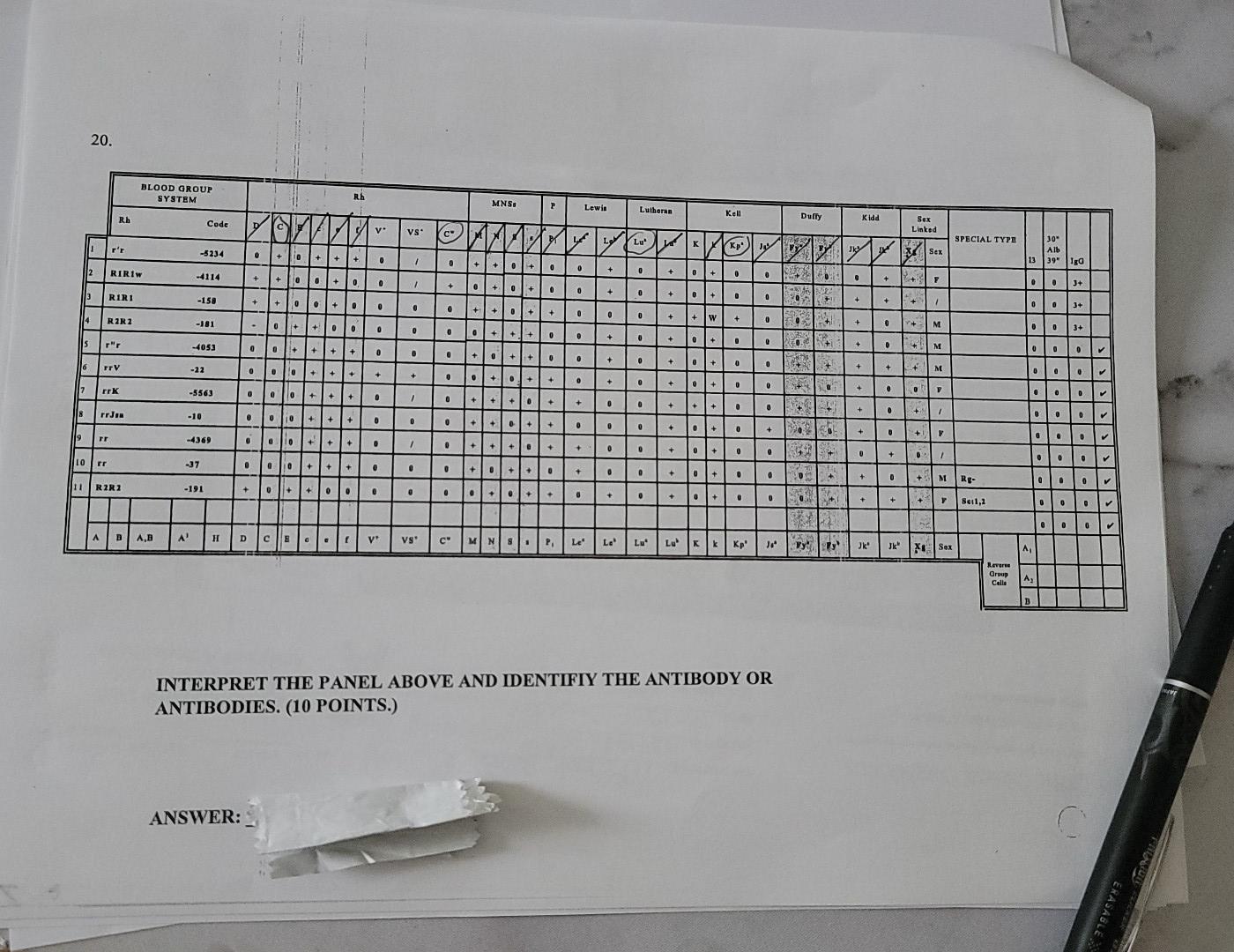 Solved INTERPRET THE PANEL ABOVE AND IDENTIFIY THE ANTIBODY | Chegg.com