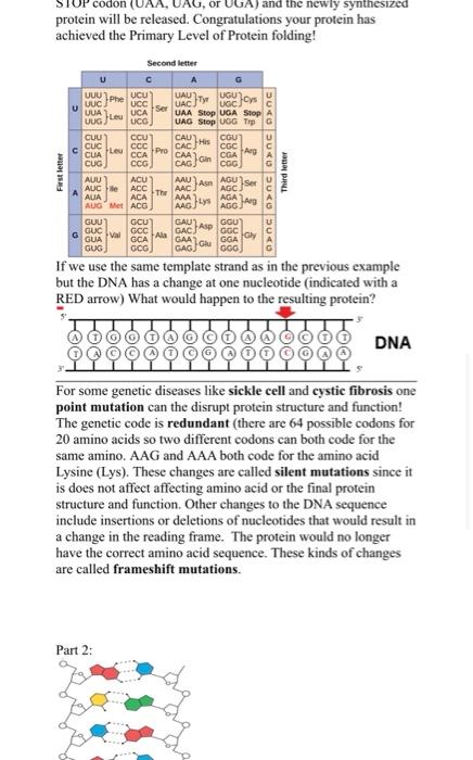 Solved DNA is an informational molecule. It carries the | Chegg.com