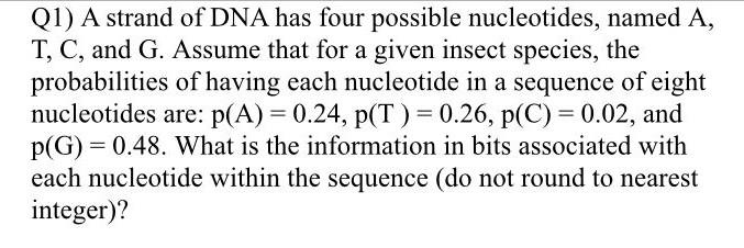 Solved Q1) A strand of DNA has four possible nucleotides, | Chegg.com