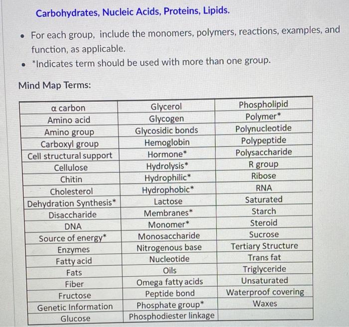 Solved Carbohydrates, Nucleic Acids, Proteins, Lipids. • For | Chegg.com
