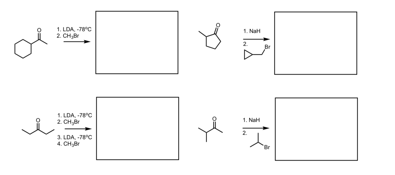 Solved Predict the products for the following alkylation | Chegg.com
