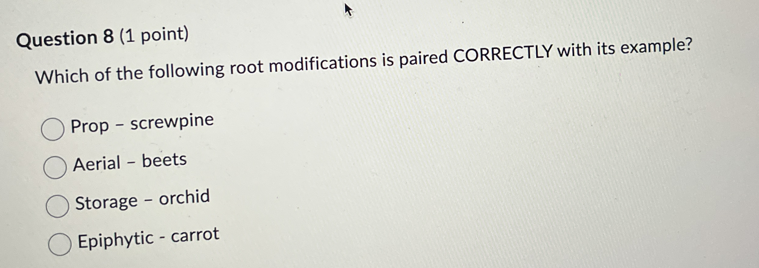 Solved Question 8 (1 ﻿point)Which of the following root | Chegg.com