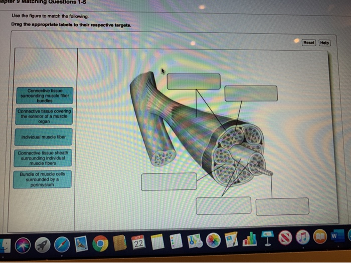Solved per Matching Questions 1-5 Use the figure to match | Chegg.com