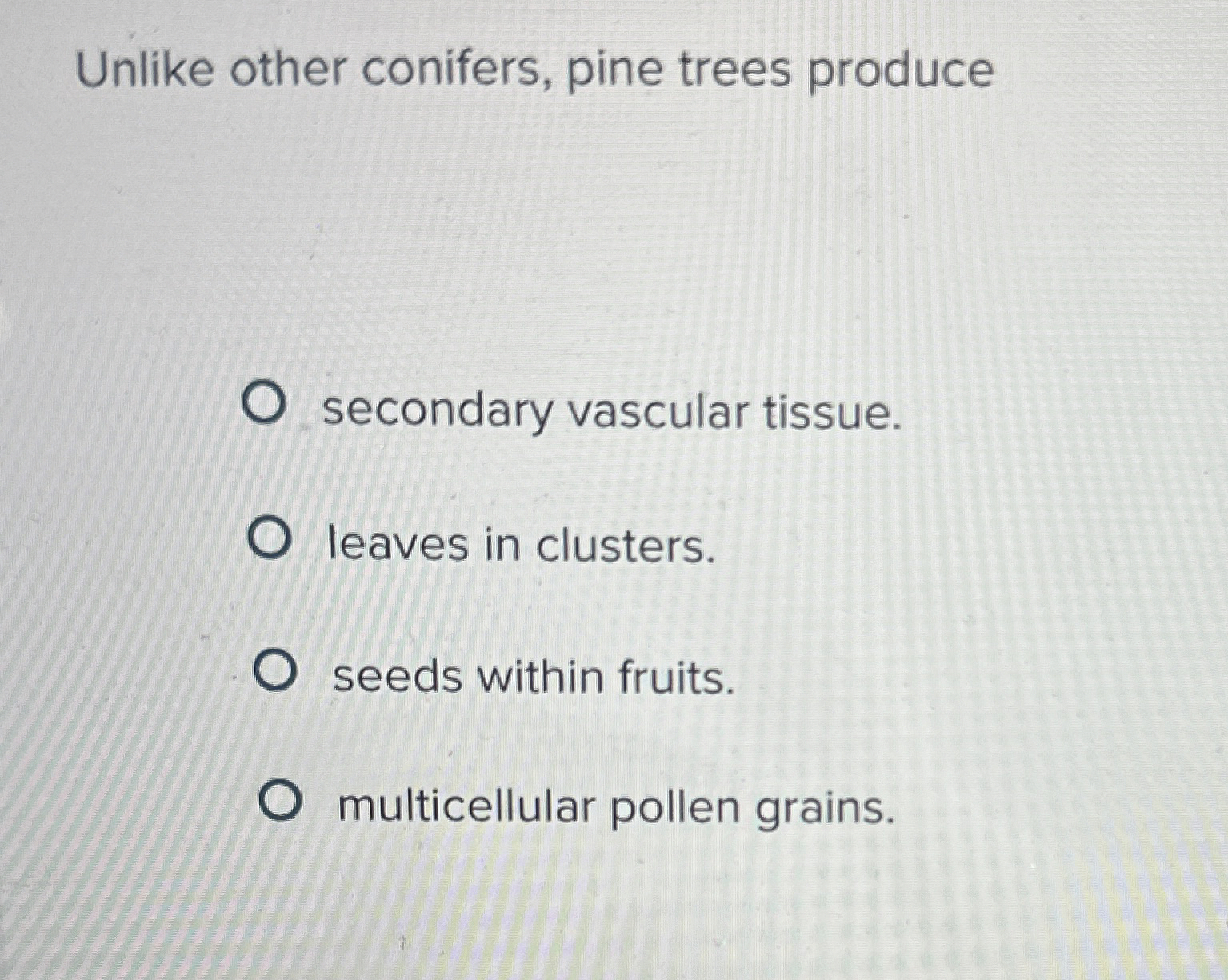 Solved Unlike other conifers, pine trees producesecondary | Chegg.com