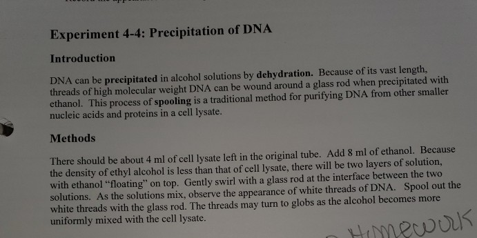 Solved Experiment 4-4: Precipitation of DNA Introduction DNA | Chegg.com