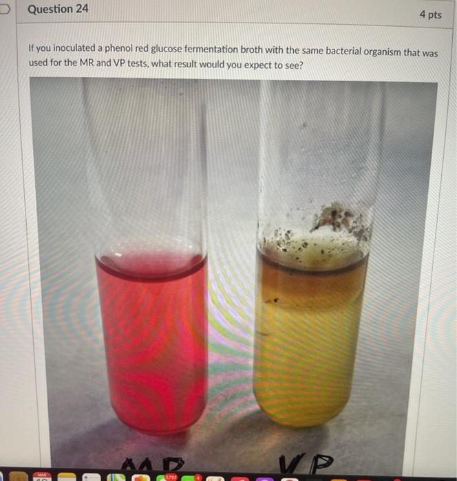 Solved Question 24 4 pts If you inoculated a phenol red | Chegg.com