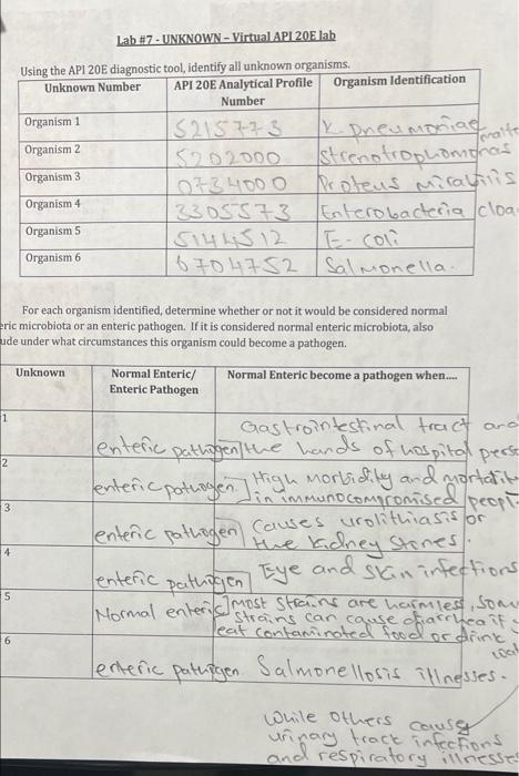Lab #7 - UNKNOWN - Virtual API 20E lab Traite Using | Chegg.com