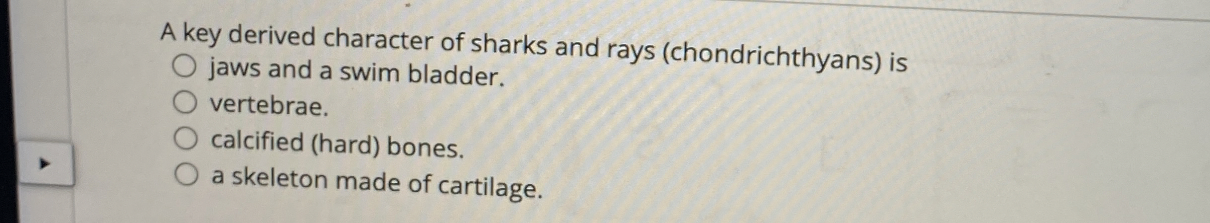 Solved A key derived character of sharks and rays | Chegg.com