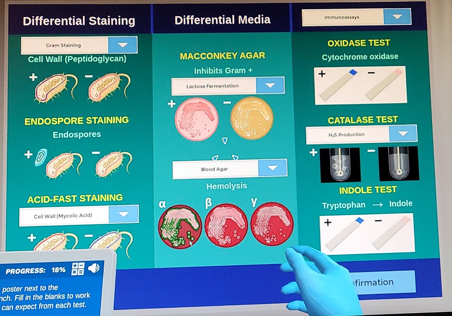 Differential Staining Differential Media Immunoassays | Chegg.com