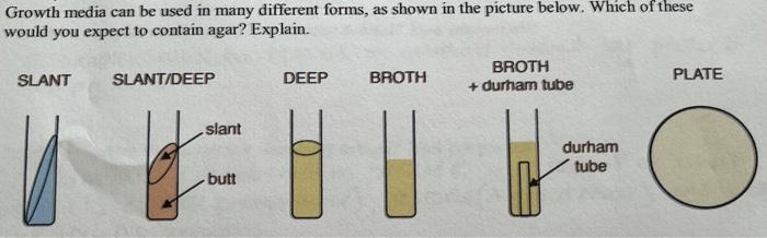 Solved Growth media can be used in many different forms, as | Chegg.com