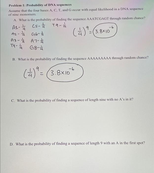 Solved Problem 1: Probability of DNA sequences Assume that | Chegg.com