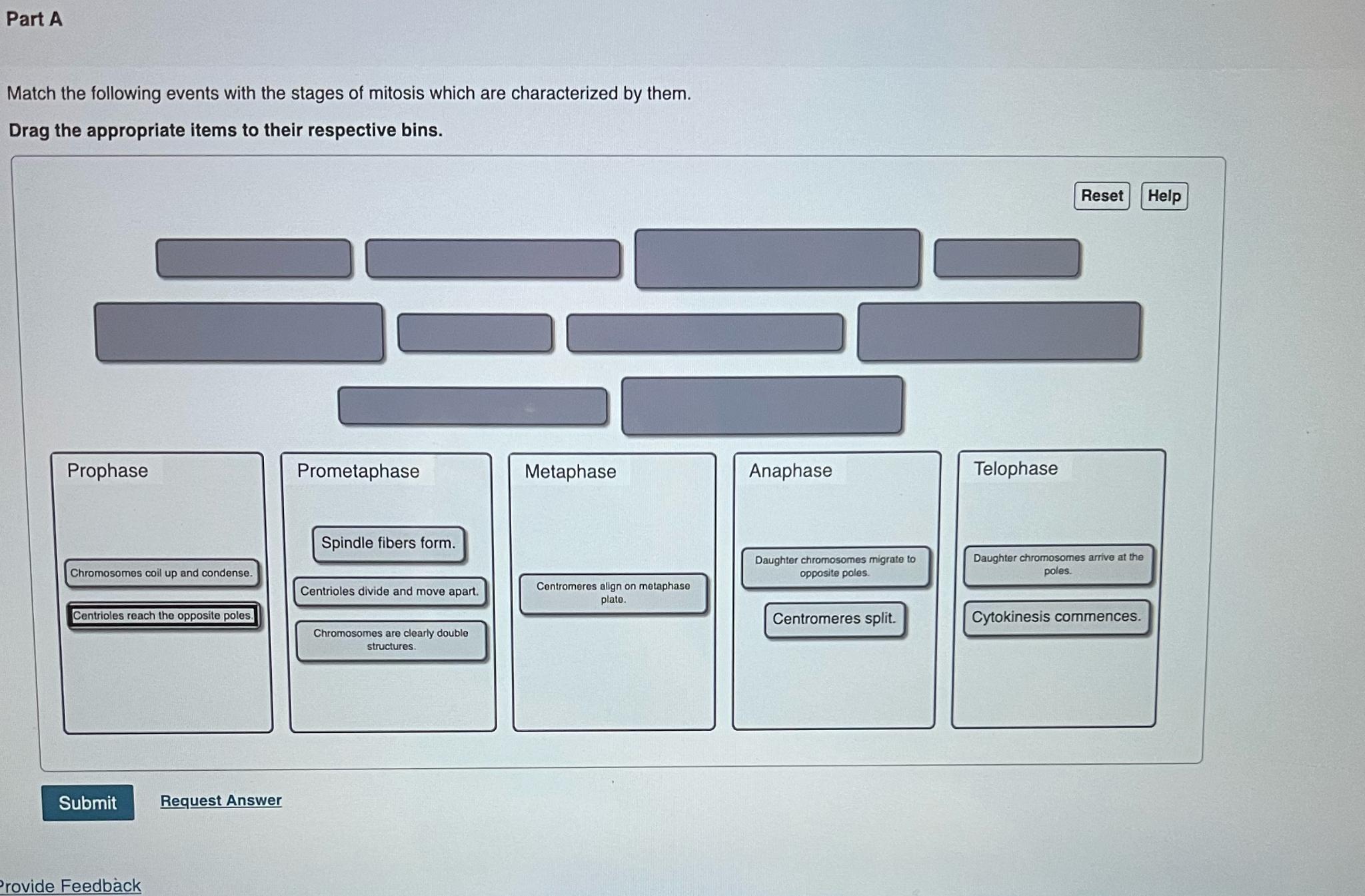 Solved Part AMatch the following events with the stages of | Chegg.com