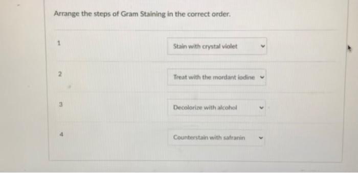 Solved Arrange the steps of Gram Staining in the correct | Chegg.com