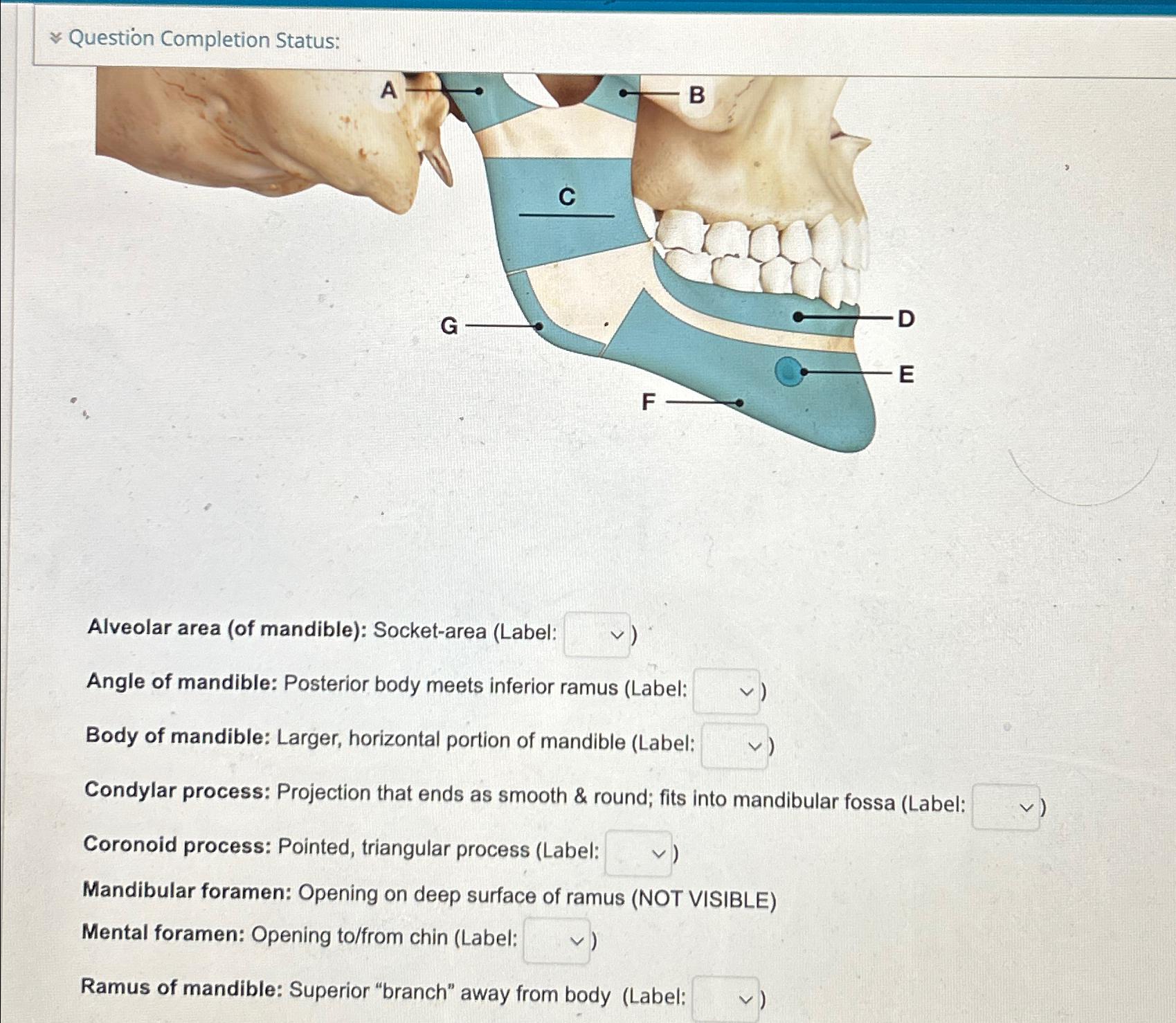 Solved Question Completion Status:Alveolar area (of | Chegg.com