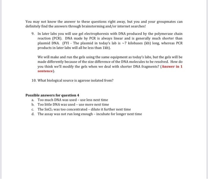 Solved Plasmid DNA molecules break. This would break the | Chegg.com