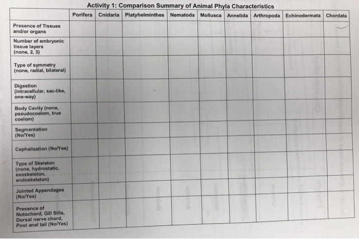 Solved Activity 1: Comparison Summary of Animal Phyla | Chegg.com