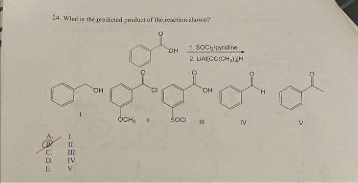 Solved 24. What is the predicted product of the reaction | Chegg.com