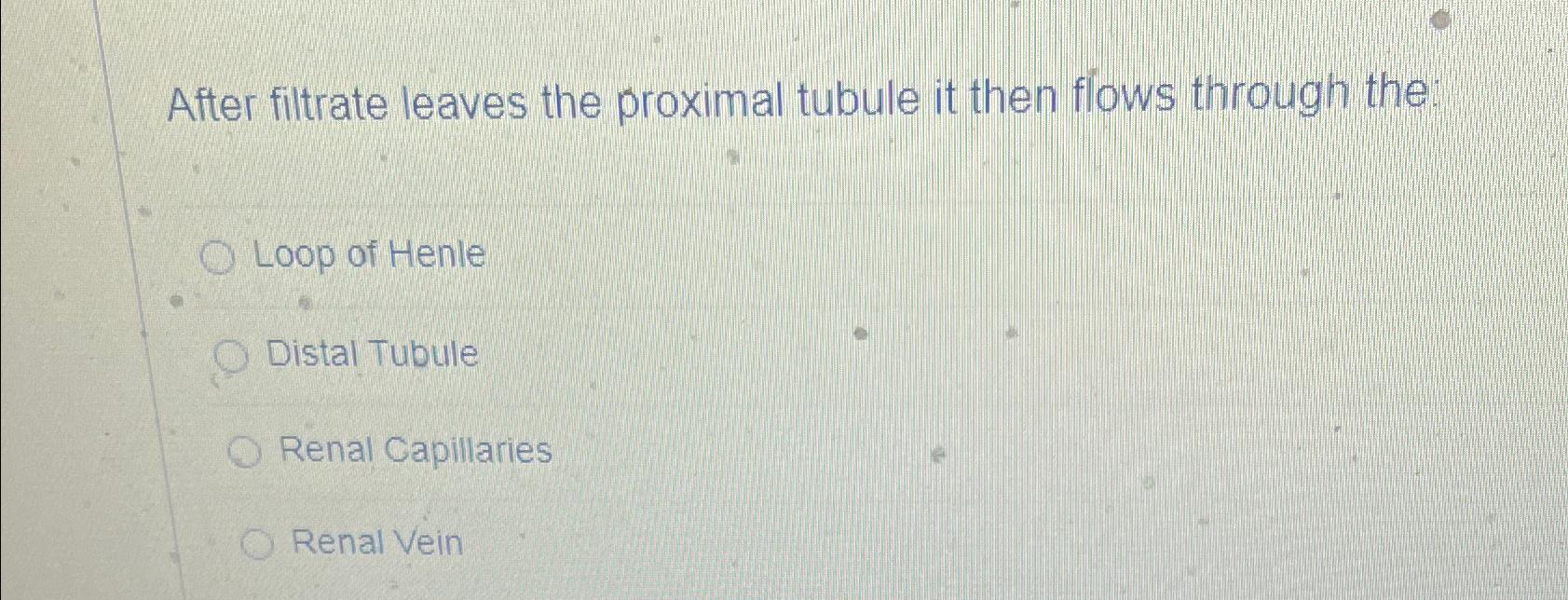 Solved After filtrate leaves the proximal tubule it then | Chegg.com