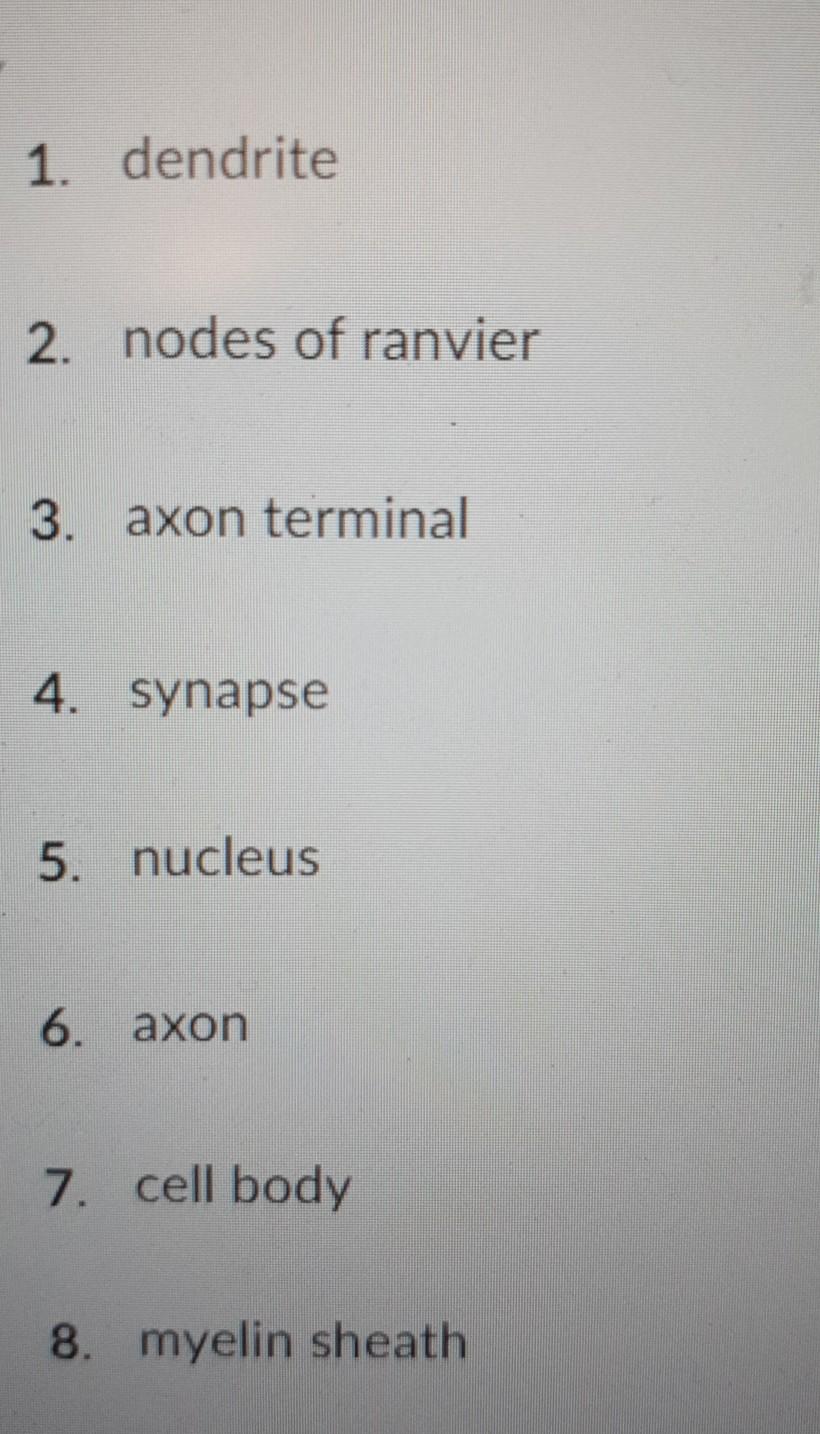 Solved Label the parts of a neuron by matching each number | Chegg.com