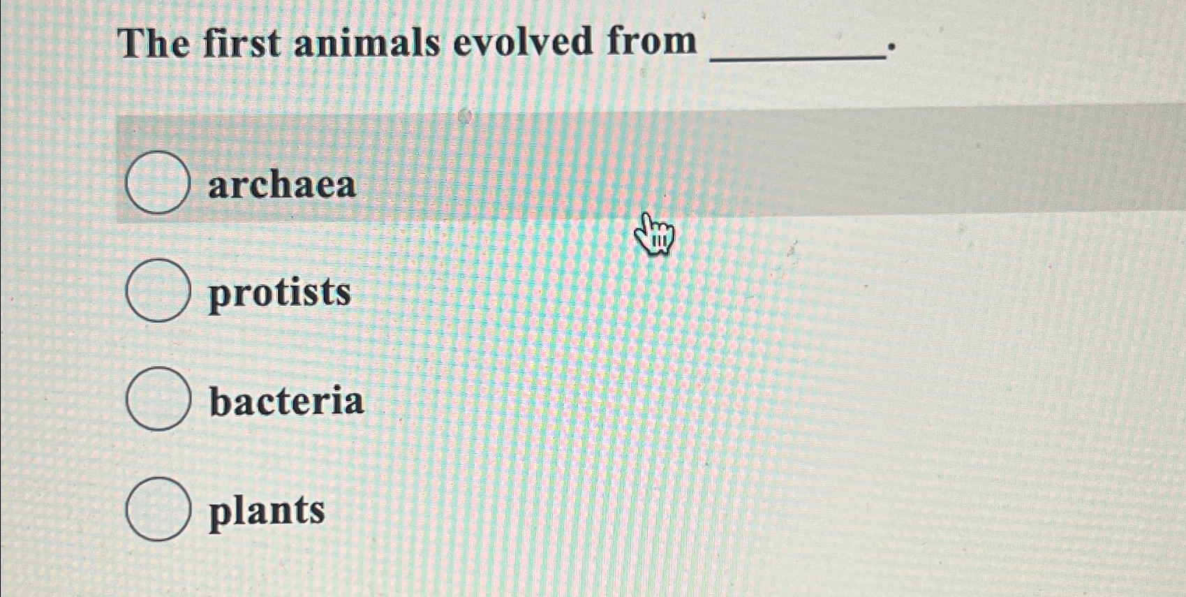 Solved The first animals evolved from | Chegg.com