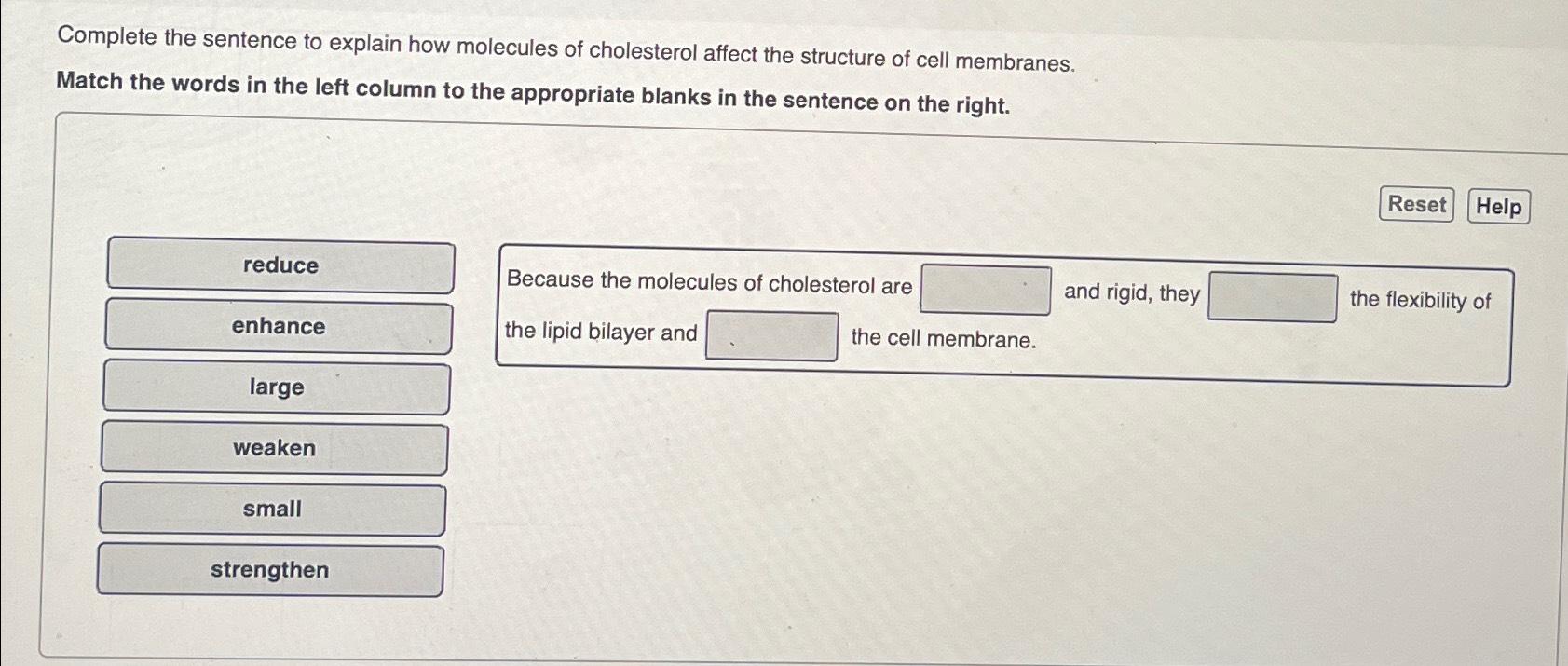 Solved Complete the sentence to explain how molecules of | Chegg.com