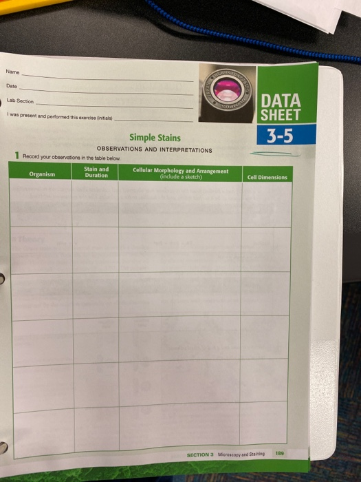 Name Date Lab Section I was present and performed | Chegg.com