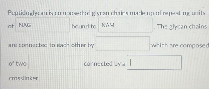 Solved Peptidoglycan is composed of glycan chains made up of | Chegg.com