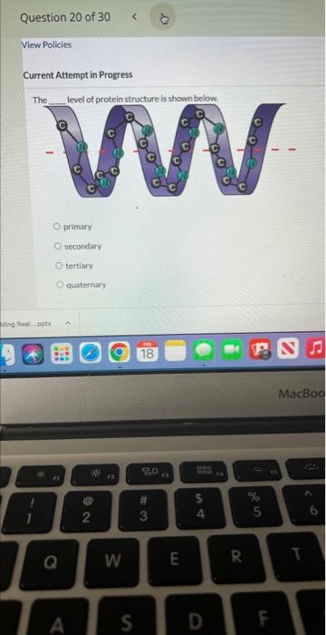 Solved Current Attempt in Progress primary secondary | Chegg.com