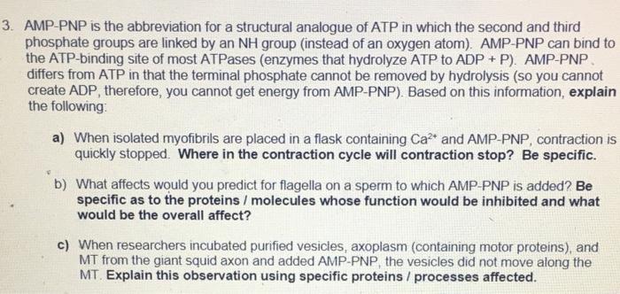 3. AMP-PNP is the abbreviation for a structural | Chegg.com