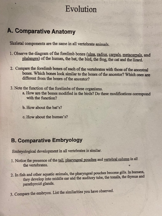 Solved Evolution A. Comparative Anatomy Skeletal components | Chegg.com