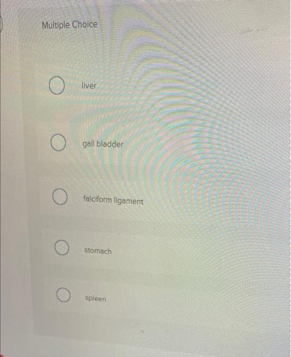 Solved Which structure is highlighted? Multiple Choice O | Chegg.com