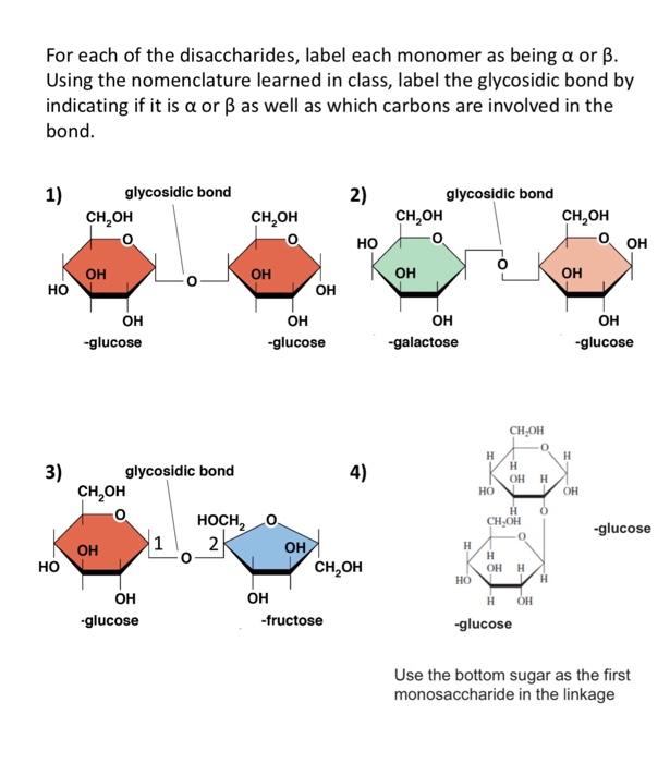 Solved For each of the disaccharides, label each monomer as | Chegg.com