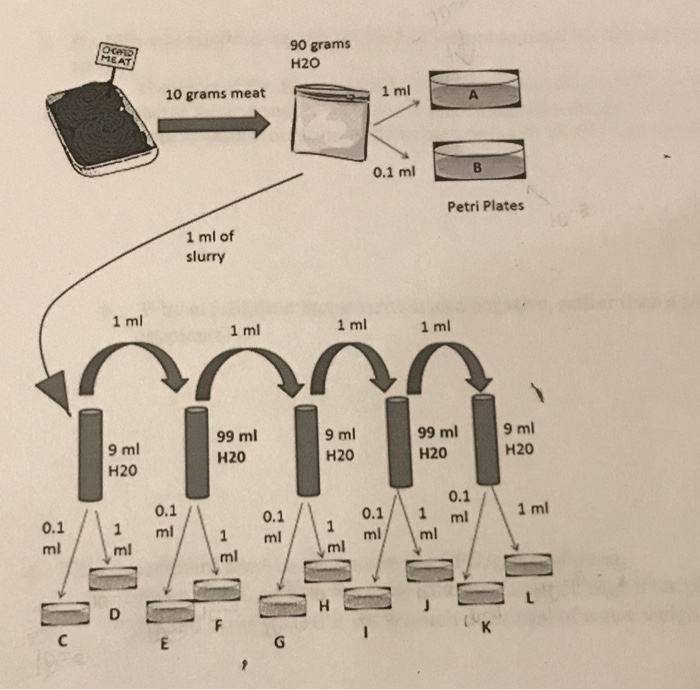 Solved OCD 90 grams MEAT H2O 10 grams meat 1 ml A 0.1 ml B | Chegg.com