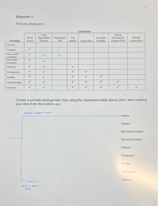 Exercise 1: Primate phylogeny. Create a primate | Chegg.com