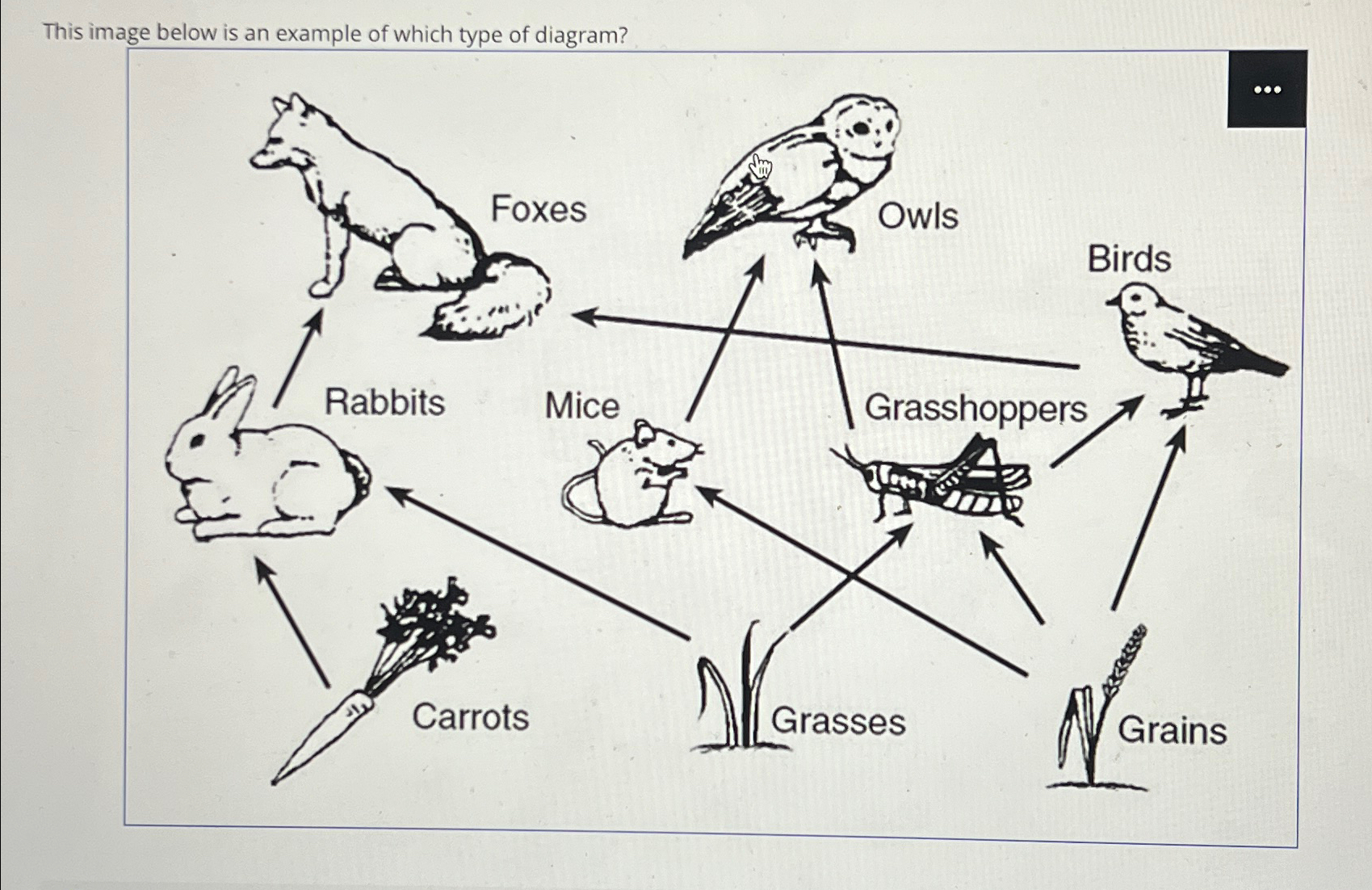 Solved This image below is an example of which type of | Chegg.com