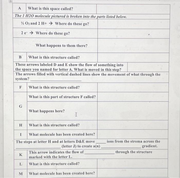 Solved Use the diagram below to complete the table on the | Chegg.com
