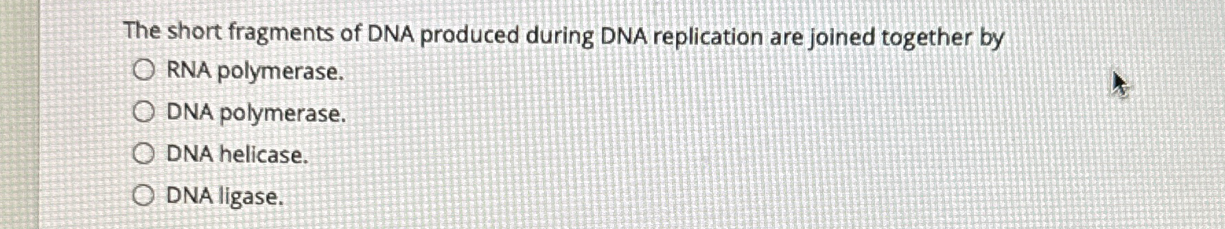 The short fragments of DNA produced during DNA | Chegg.com