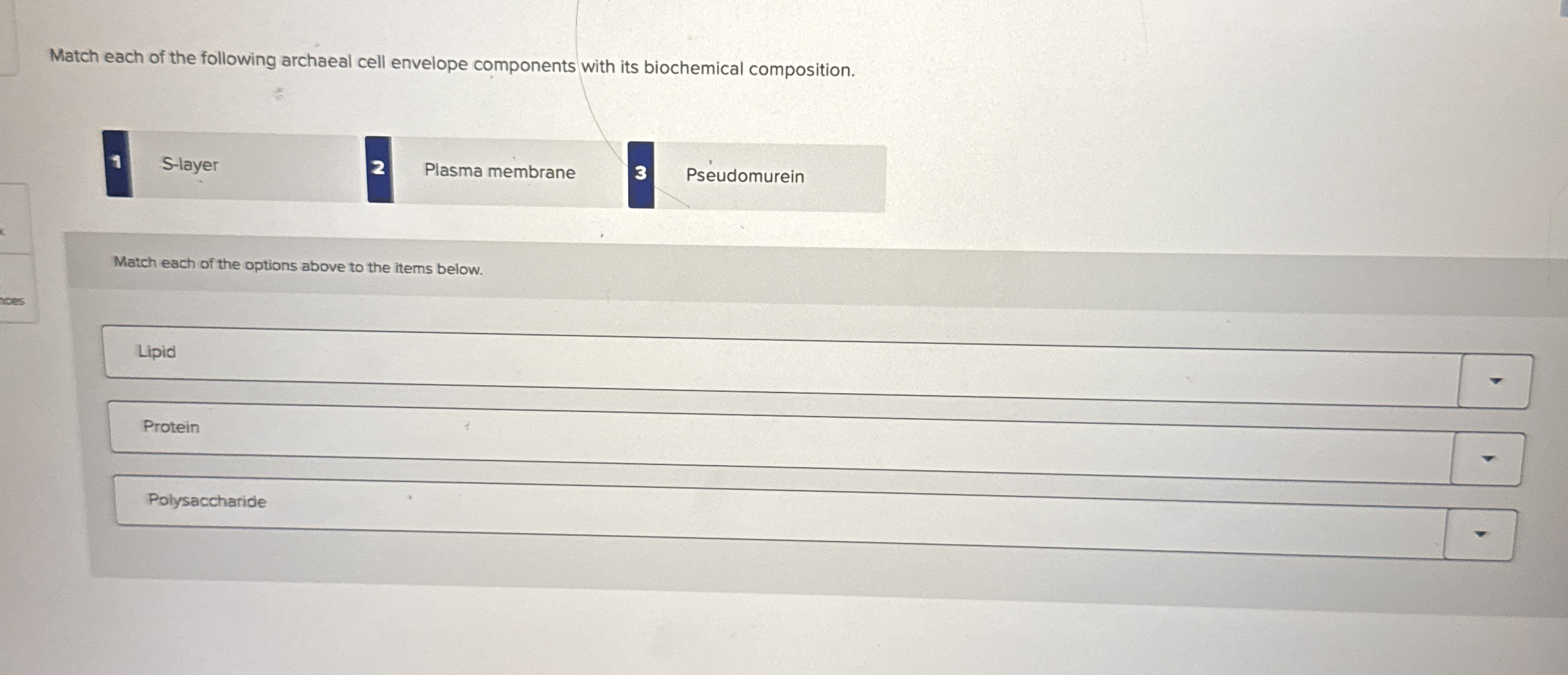 Solved Match each of the following archaeal cell envelope | Chegg.com