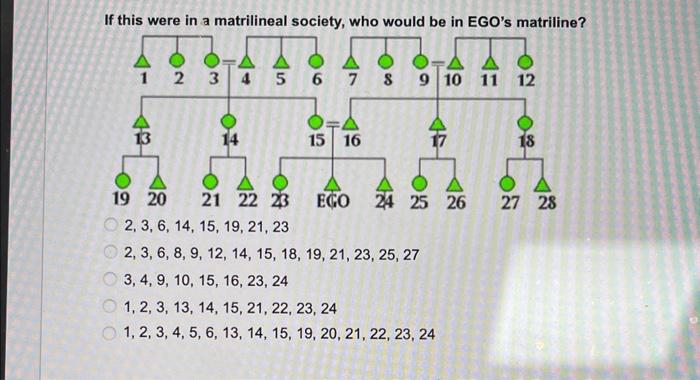 In a patrilineal society, who would be in Ego's | Chegg.com