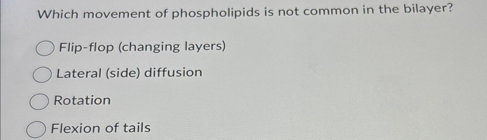 Solved Which movement of phospholipids is not common in the | Chegg.com