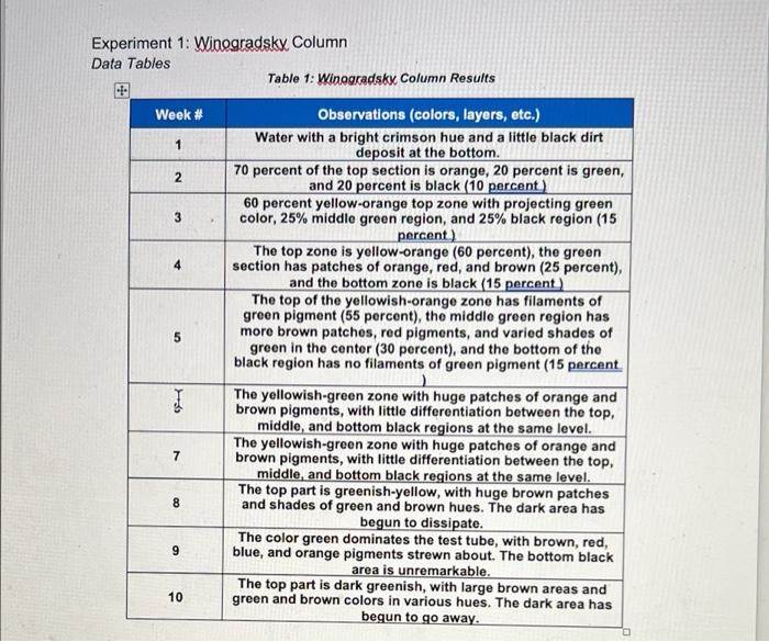 Solved Experiment 1: Winogradskx Column Data Tables Table 1: | Chegg.com