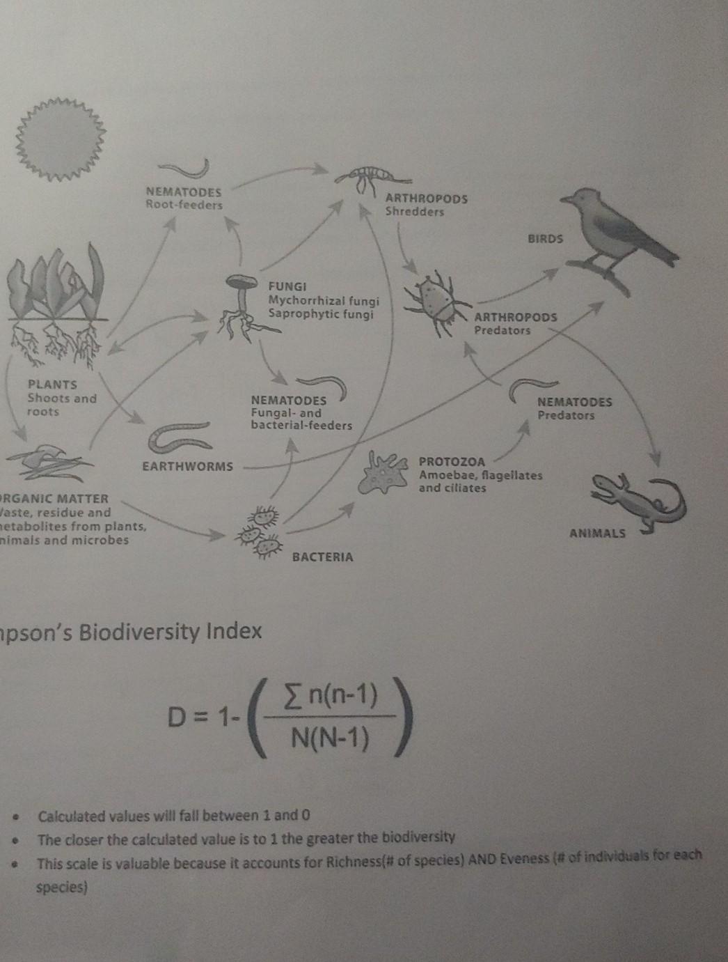 Solved NEMATODES Root-feeders ARTHROPODS Shredders BIRDS | Chegg.com