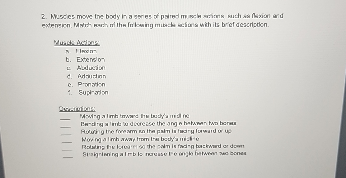 Solved Muscles move the body in a series of paired muscle | Chegg.com